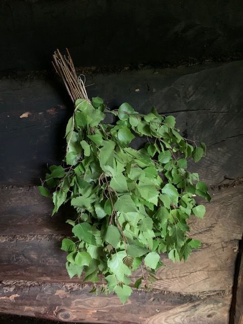 Hundisabast viht | Looduskalender.ee