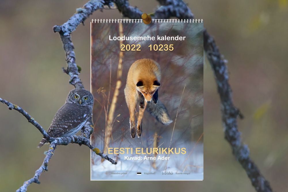 Loodusmehe kalender 2022 | Looduskalender.ee