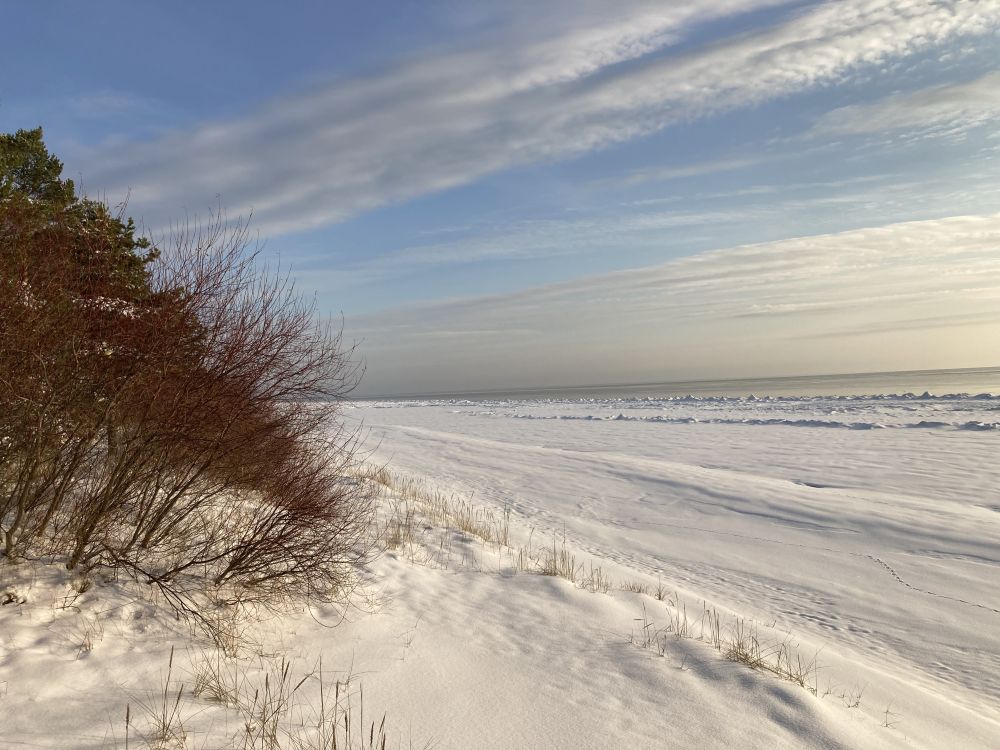 Peipsi jäätub | Looduskalender.ee
