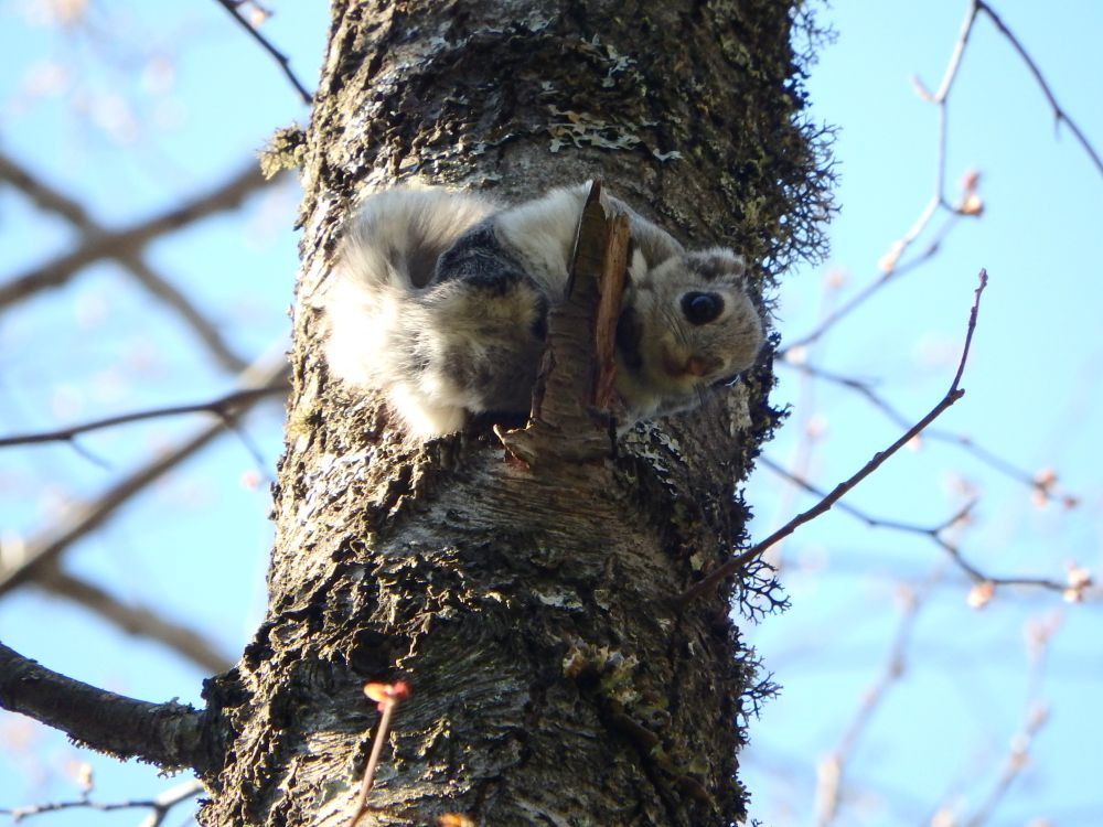2023. aasta tegijad Eesti looduses | Lastekas