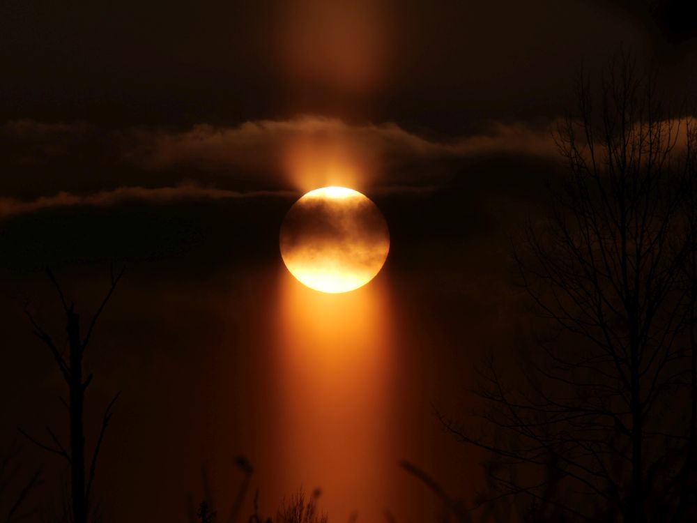 Karge talvine hommik Virumaal | Looduskalender.ee