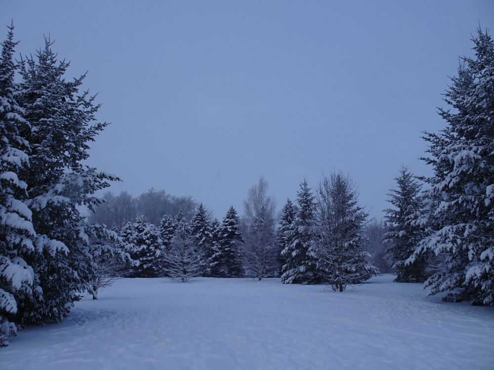 48. NÄDAL 27.11.2023 - 3.12.2023. Jõgeval ja selle ümbruses ...