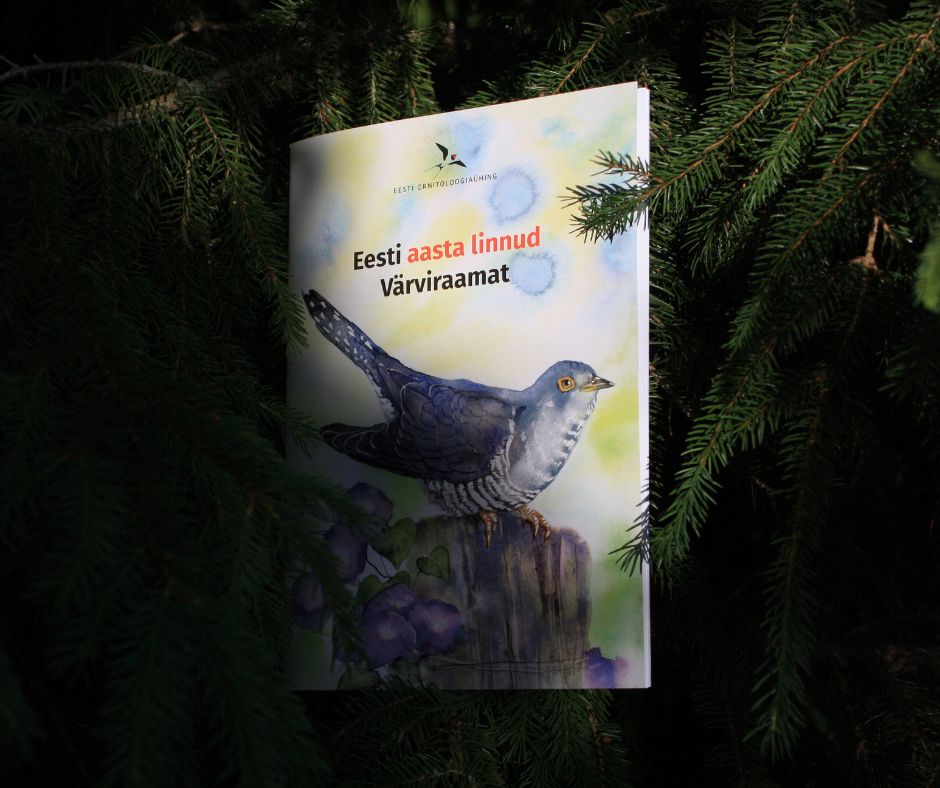Eesti aasta linnud said oma värviraamatu | Looduskalender.ee