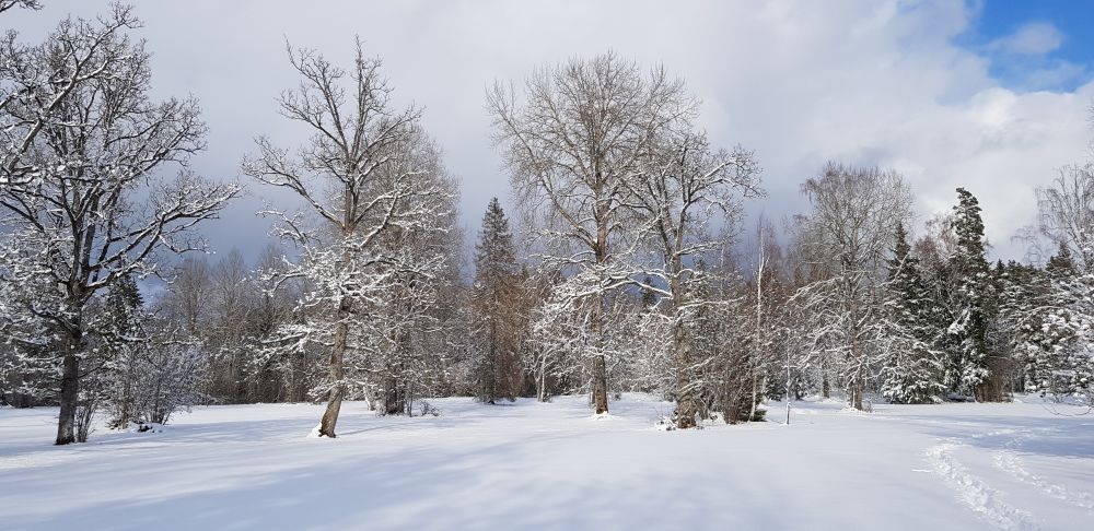 Talvematk Laukna puisniidul | Looduskalender.ee