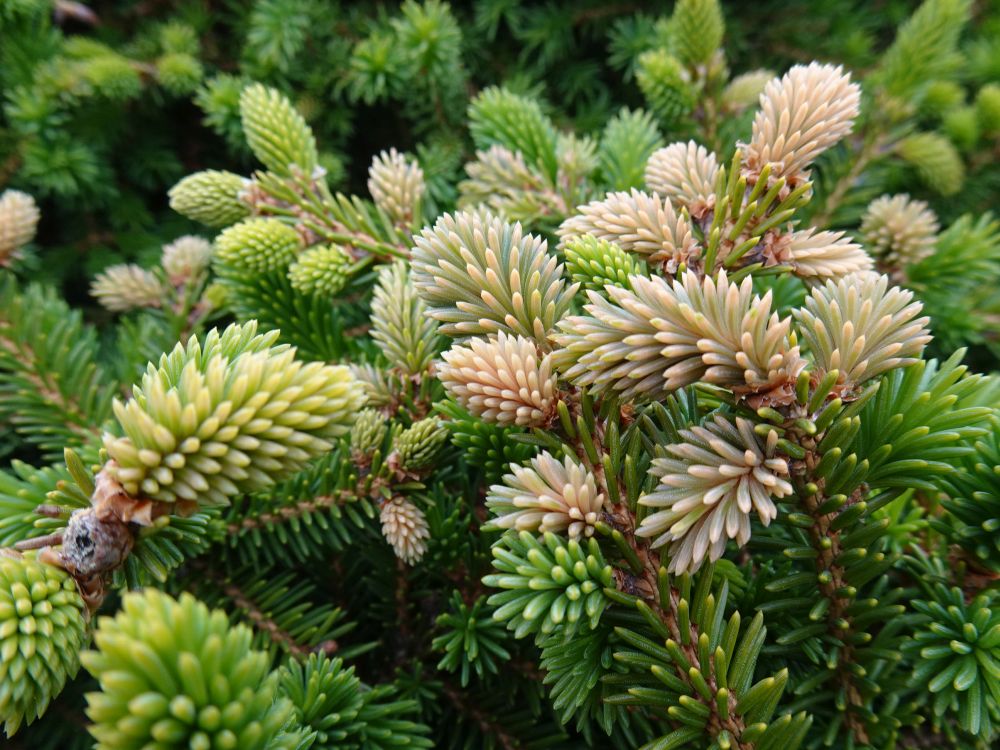 22. NÄDAL 29.5.2023.- 4.6.2023. Jõgeval ja selle ümbruses ...