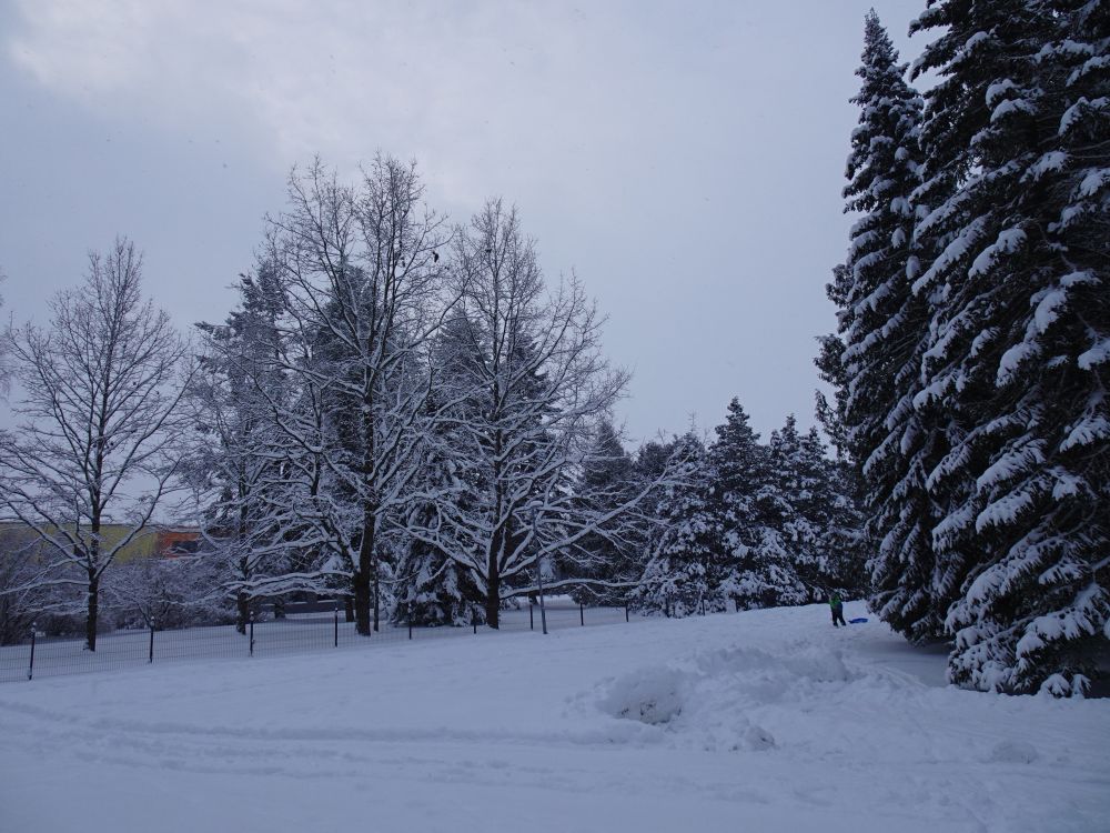 48. NÄDAL 27.11.2023 - 3.12.2023. Jõgeval ja selle ümbruses ...