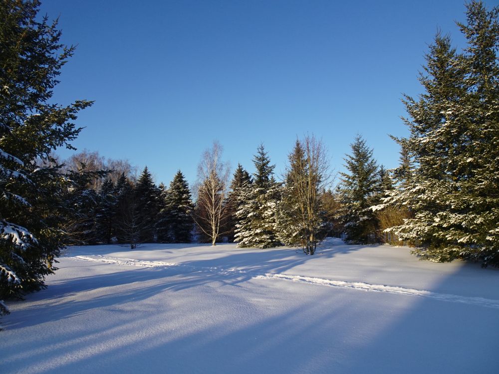 1. NÄDAL 1.1.2024 - 7.1.2024. Jõgeval ja selle ümbruses | Looduskalender.ee