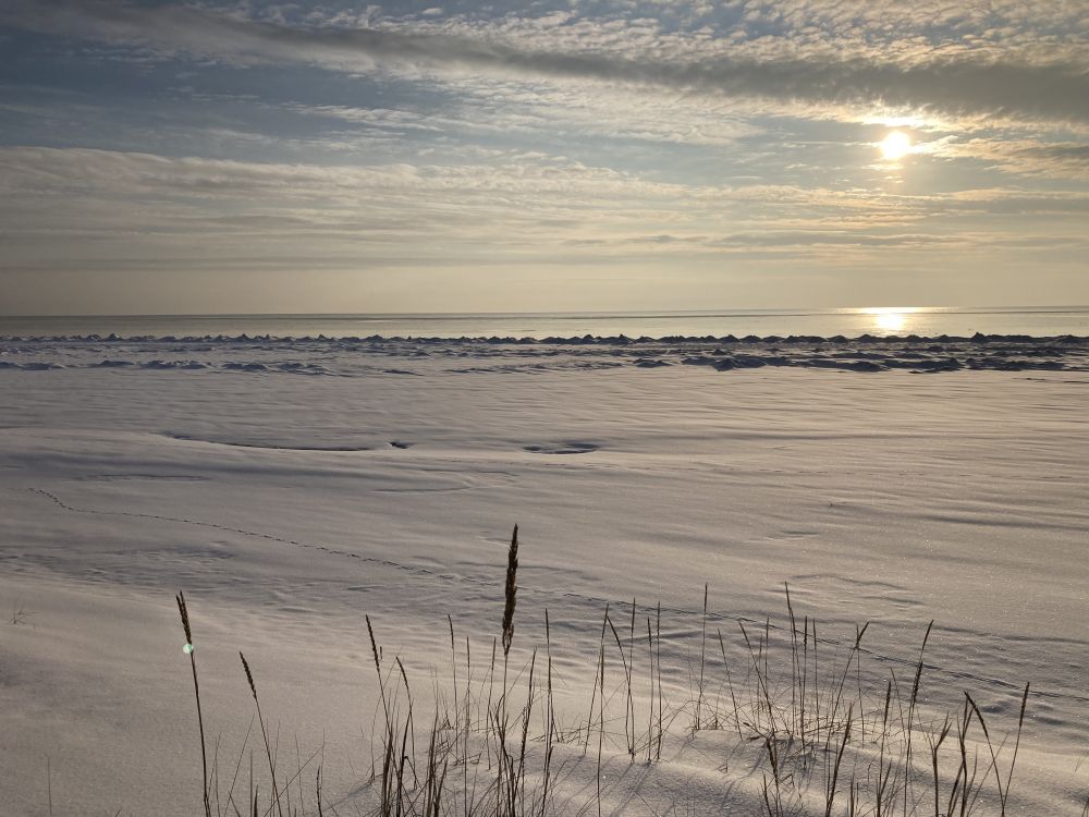 Peipsi jäätub | Looduskalender.ee