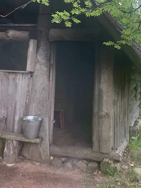 Hundisabast viht | Looduskalender.ee