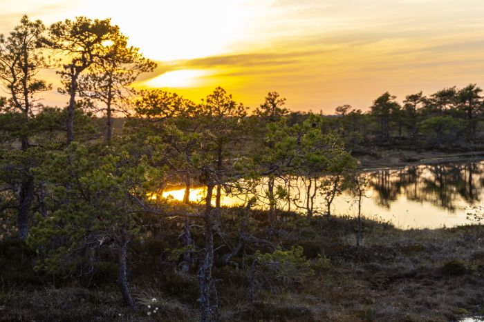 Karula, Soomaa ja Vilsandi rahvusparkide sünnipäev | Looduskalender.ee