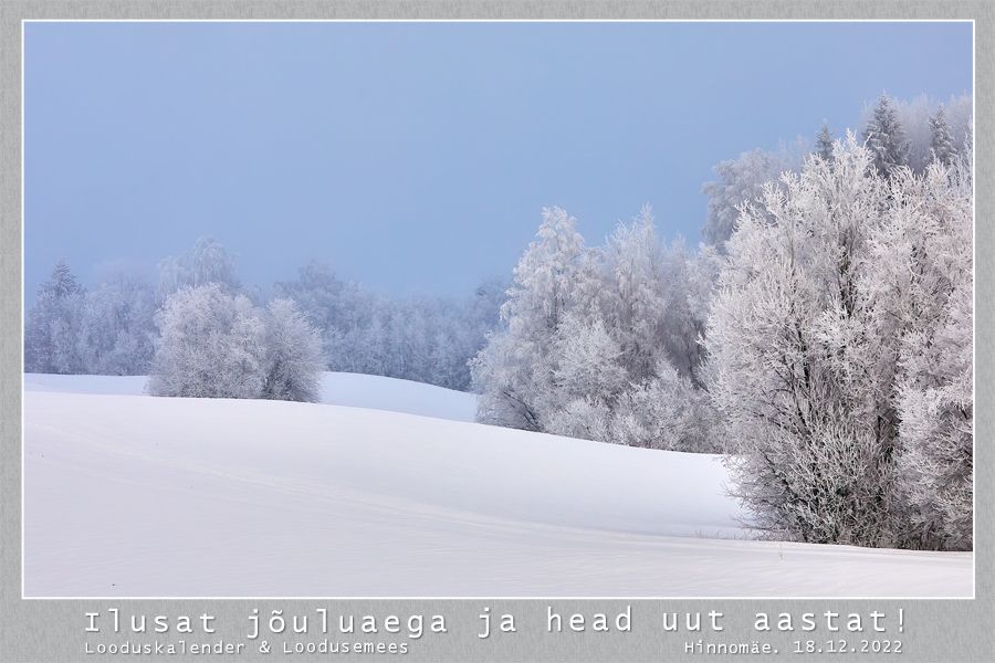 Hääd soovid! | Looduskalender.ee