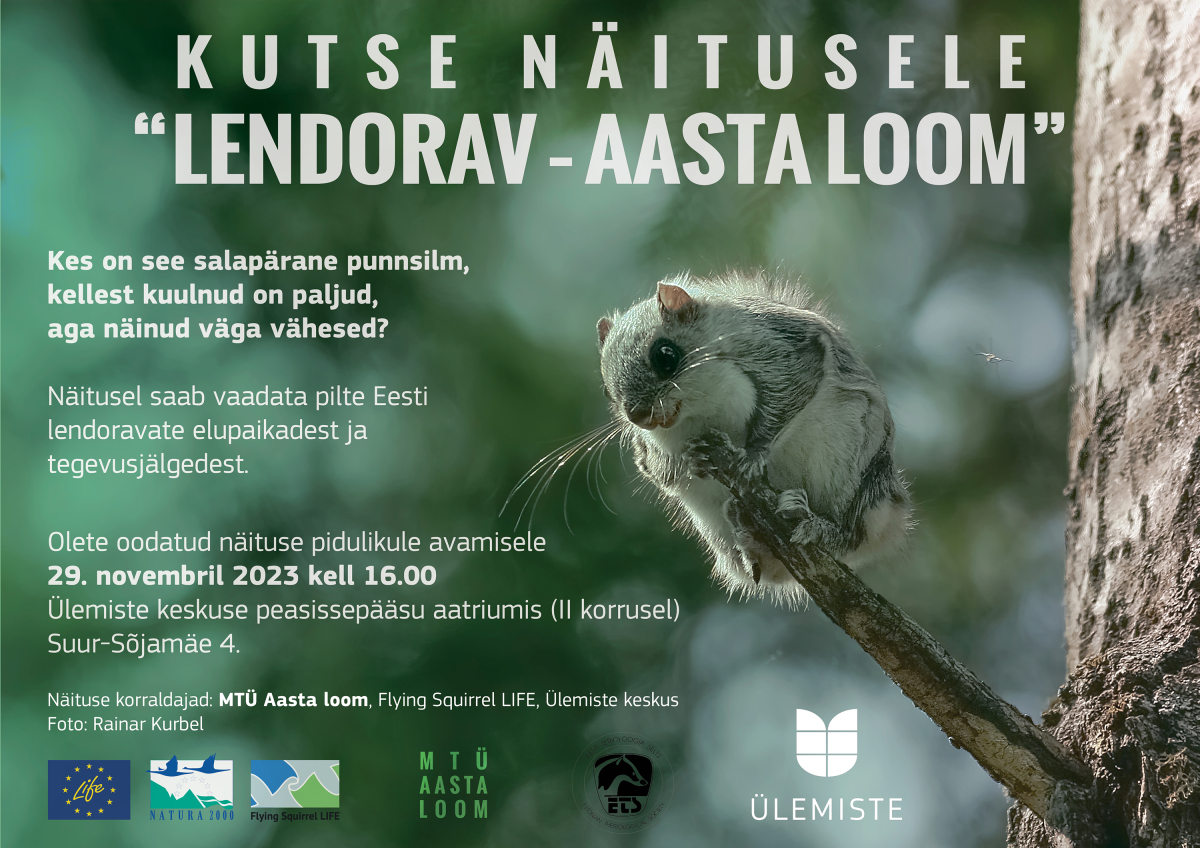 "Punnsilma" ehk lendorava näitus tulekul Ülemistes | Looduskalender.ee