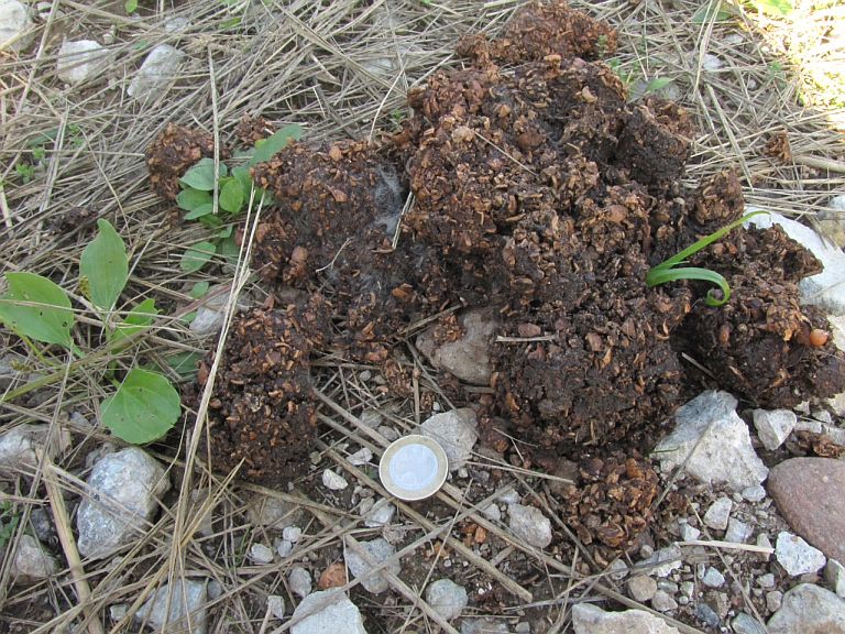 Kasutatud materjalid