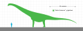 File:"Antarctosaurus" giganteus Size Chart.svg - Wikimedia Commons